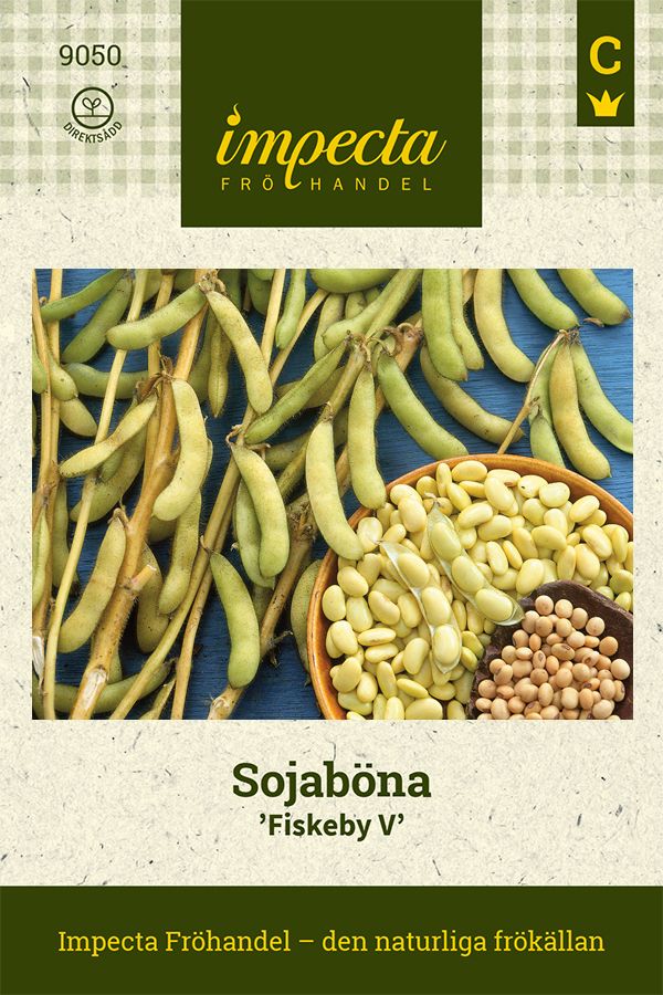 Soijapapu 'Fiskeby V' - MUSTILA PUUTARHA