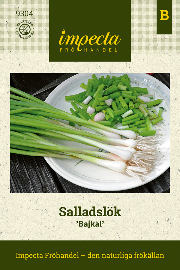 Vihersipuli 'Bajkal' - MUSTILA PUUTARHA