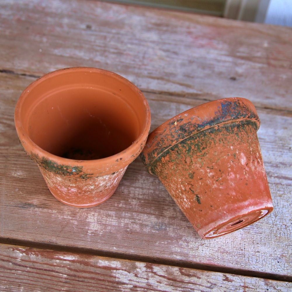 Terracotta ruukku patina - MUSTILA PUUTARHA