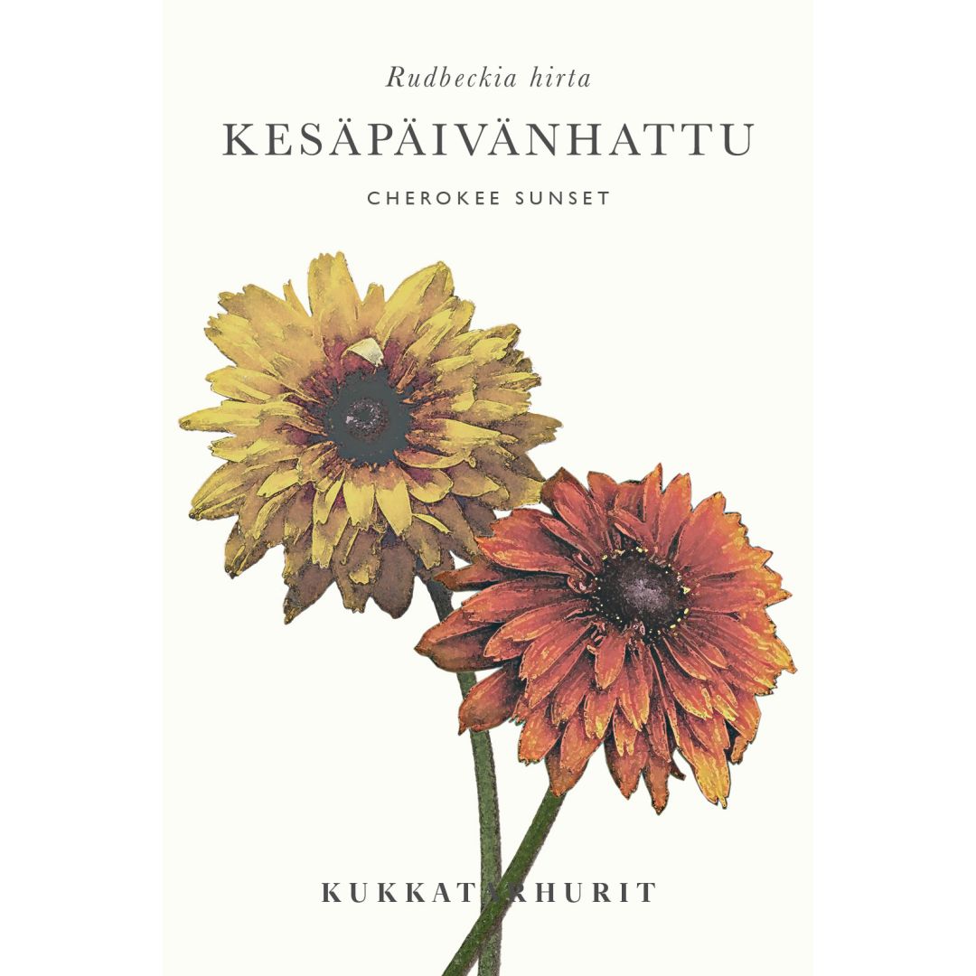 Kesäpäivänhattu 'Cherokee Sunset' - MUSTILA PUUTARHA