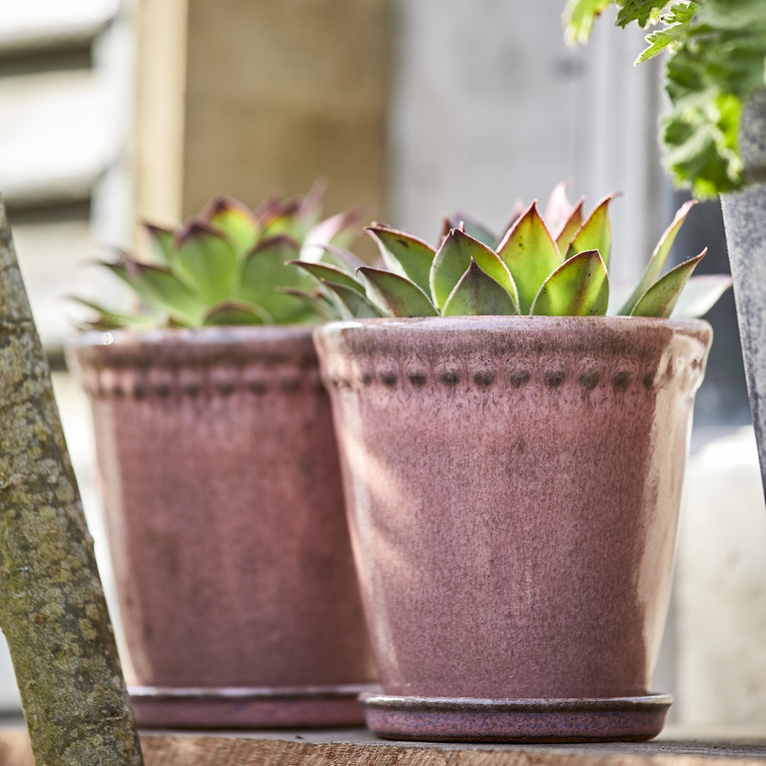 'Dusty Rose' Lace-ruukku 19 cm - MUSTILA PUUTARHA