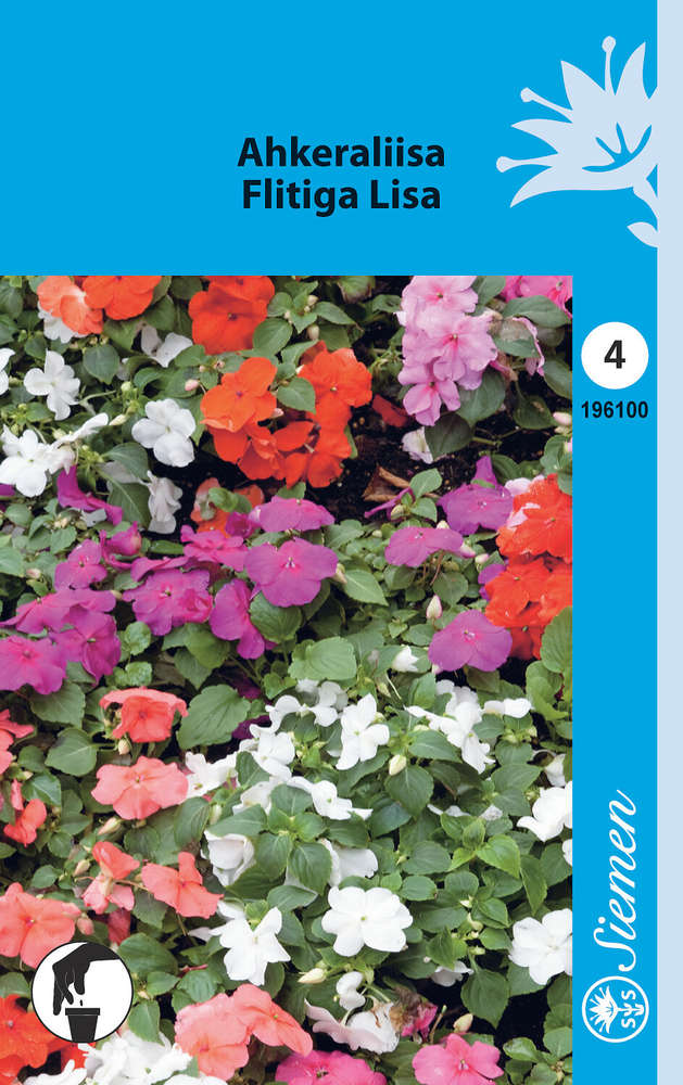 Flitiga Lisa, färgblandning - MUSTILA TRÄDGÅRD