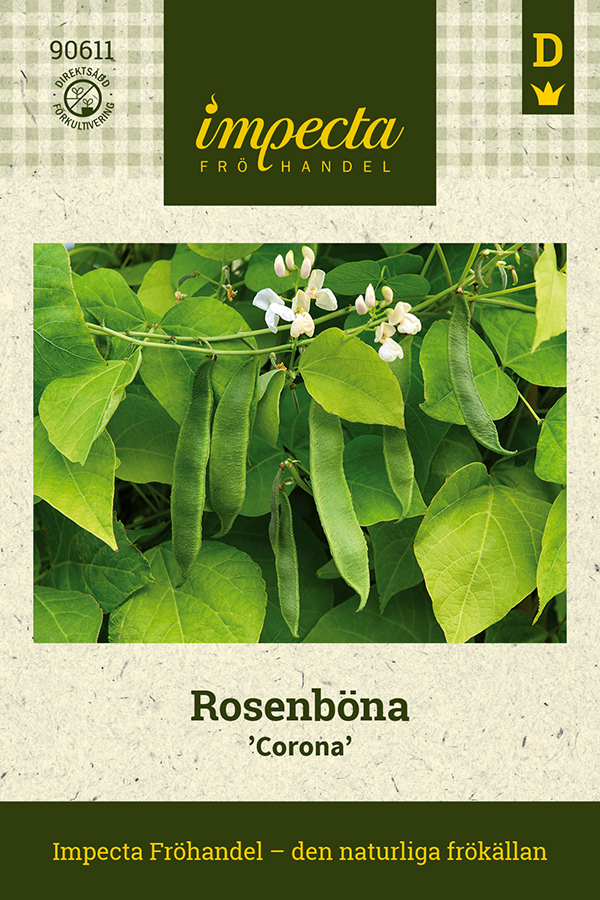 Ruusupapu 'Corona' - MUSTILA PUUTARHA