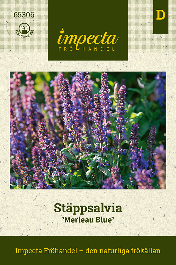 Stäppsalvia 'Merleau Blue' - MUSTILA TRÄDGÅRD