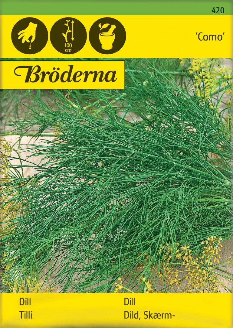 Tilli 'Como' - MUSTILA PUUTARHA