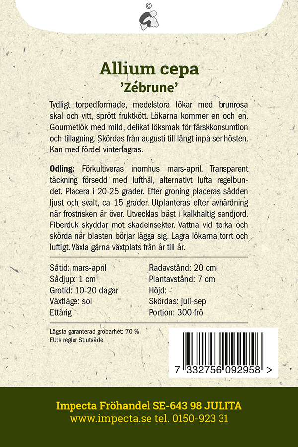 Salottisipuli 'Zébrune' - MUSTILA PUUTARHA