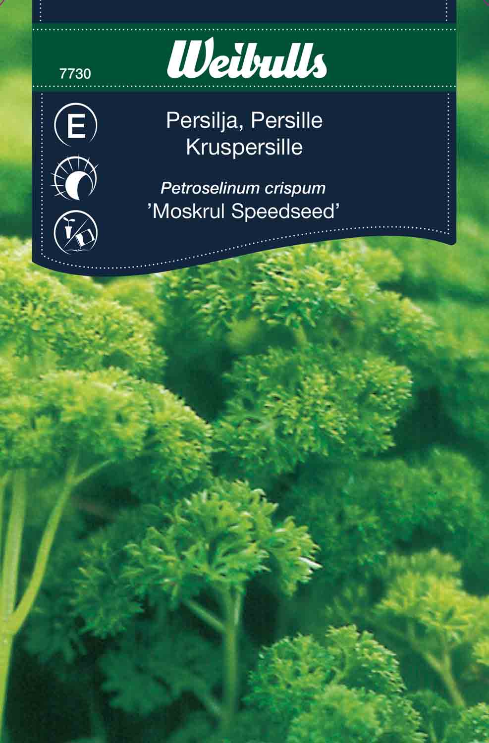 Persilja 'Moskrul Speedseed' - MUSTILA PUUTARHA