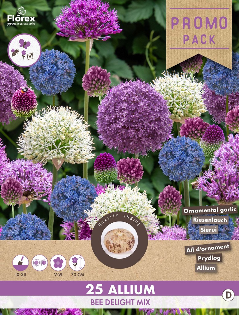 Allium Bee Delight Mix - MUSTILA TRÄDGÅRD