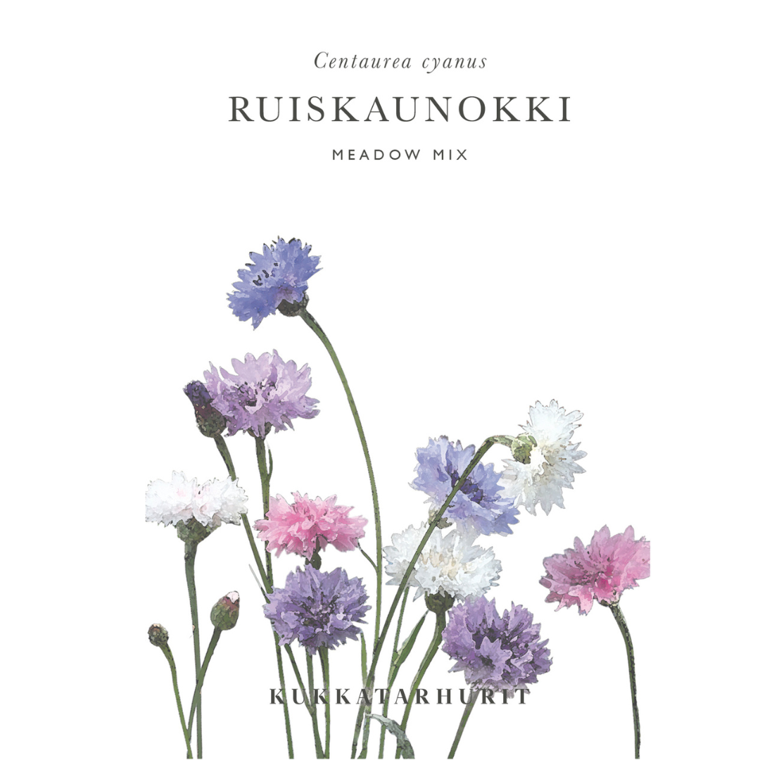Ruiskaunokki Meadow Mix - MUSTILA PUUTARHA