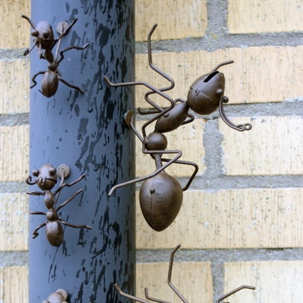 Muurahainen, iso - MUSTILA PUUTARHA